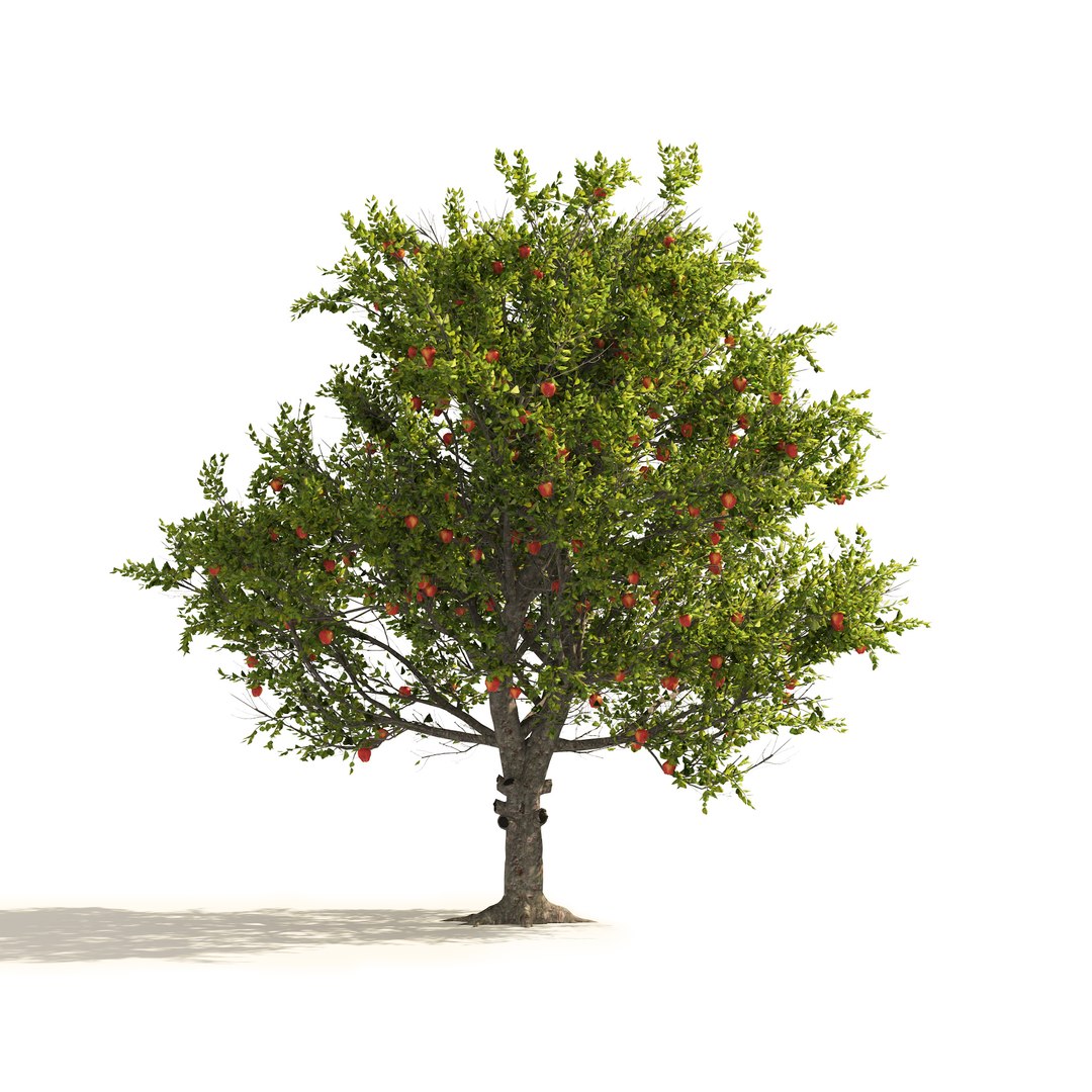 3D 3 Apple Trees With Apple Fruits Model - TurboSquid 1924773