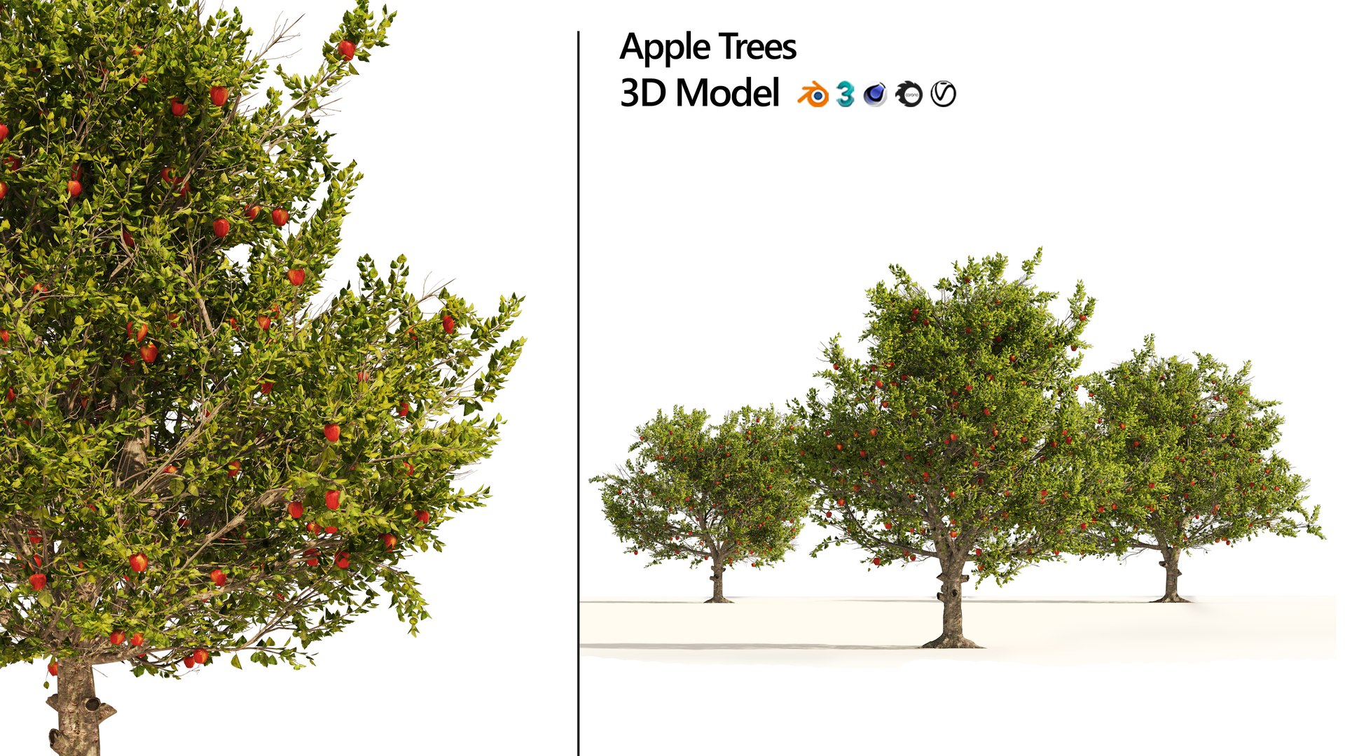 3D 3 Apple Trees With Apple Fruits Model - TurboSquid 1924773