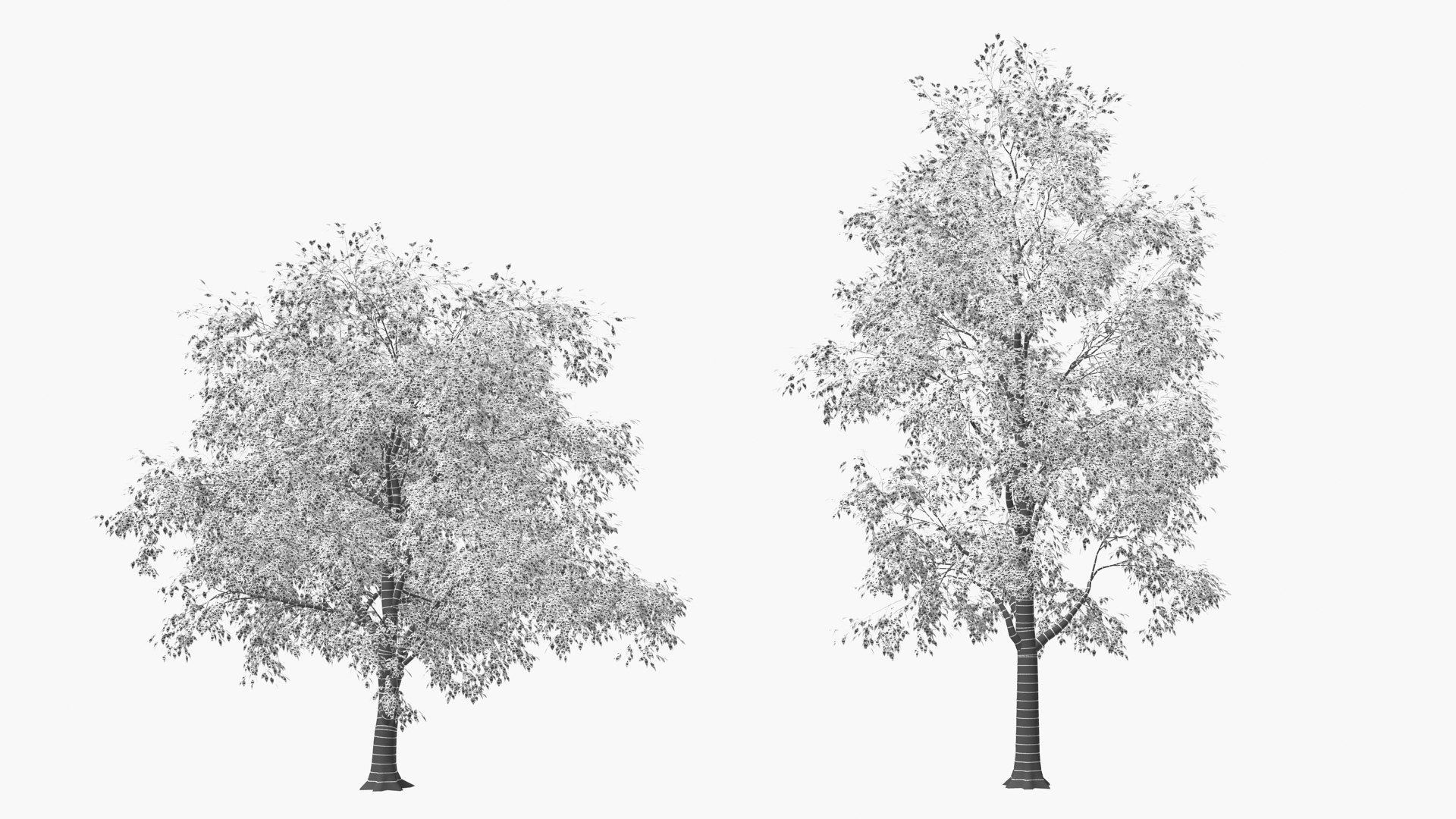 3D Wind Tree Model - TurboSquid 1667053