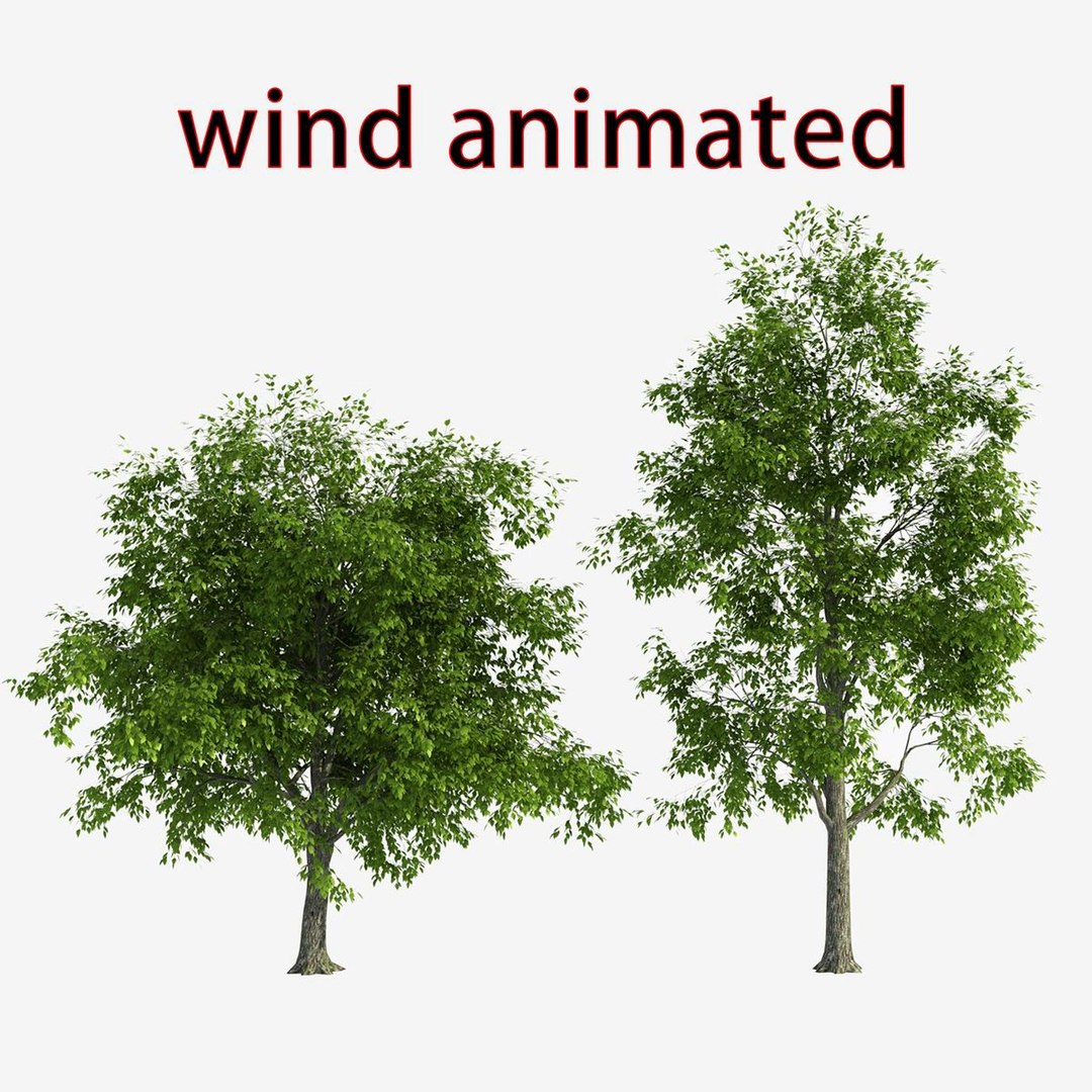 3D Wind Tree Model - TurboSquid 1667053
