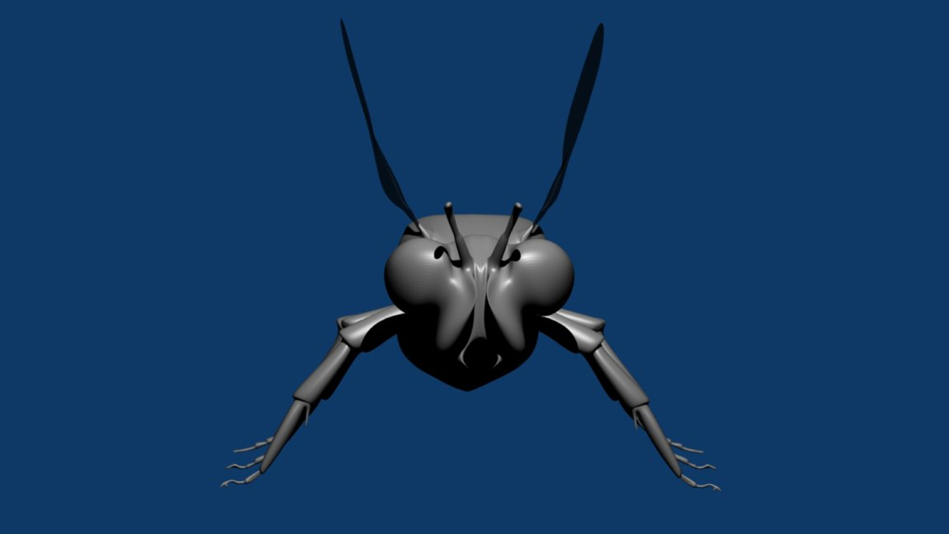 3d rigged insect