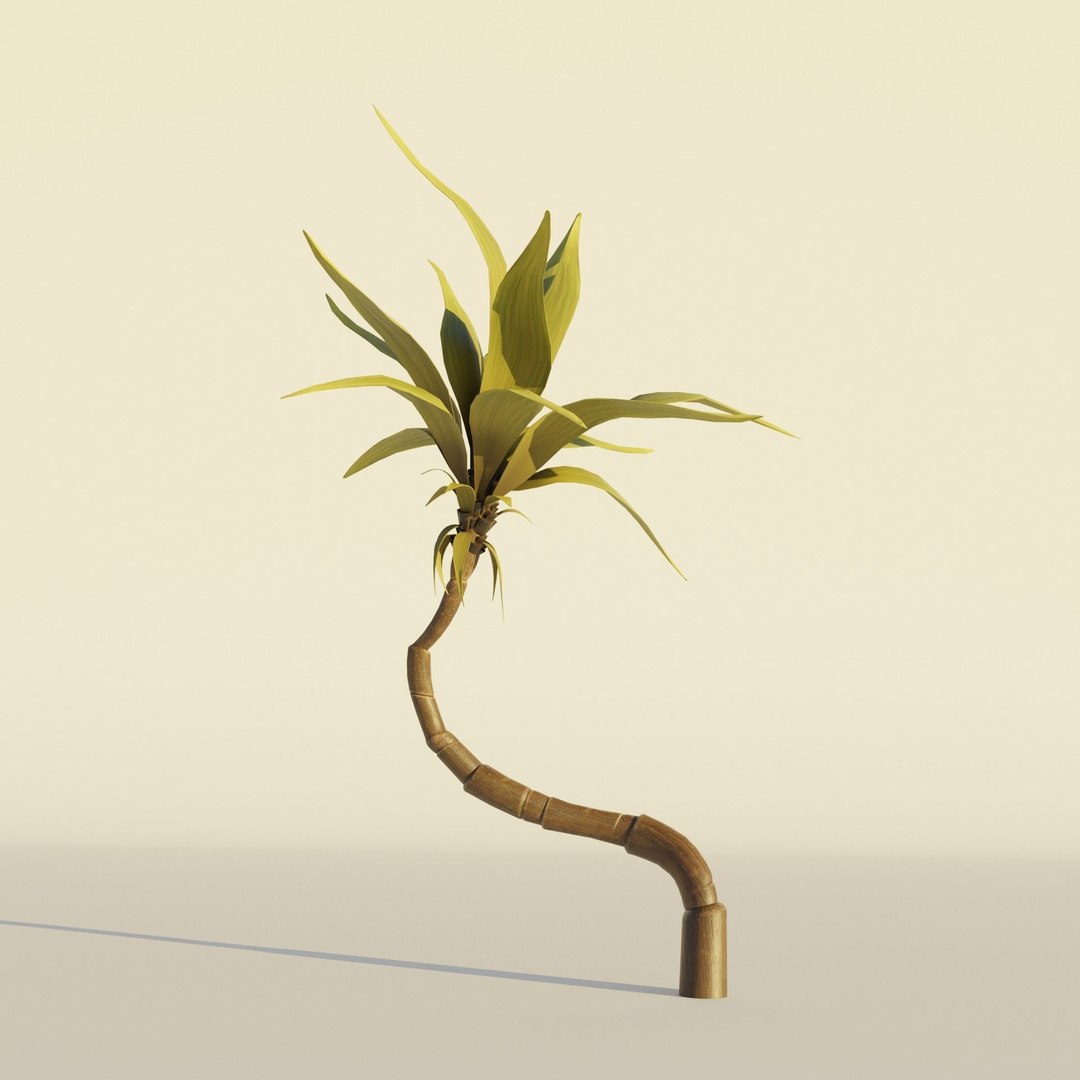 Palm Tree Mega Pack Cartoon Stylized Hand Painted Low-poly 3D Model 3D ...