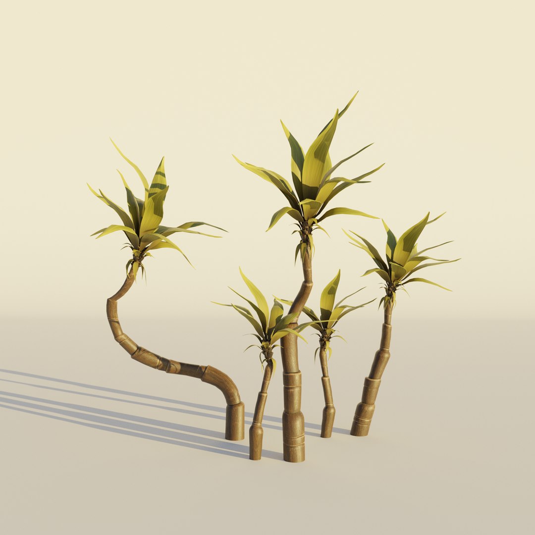 Palm Tree Mega Pack Cartoon Stylized Hand Painted Low-poly 3D Model 3D ...