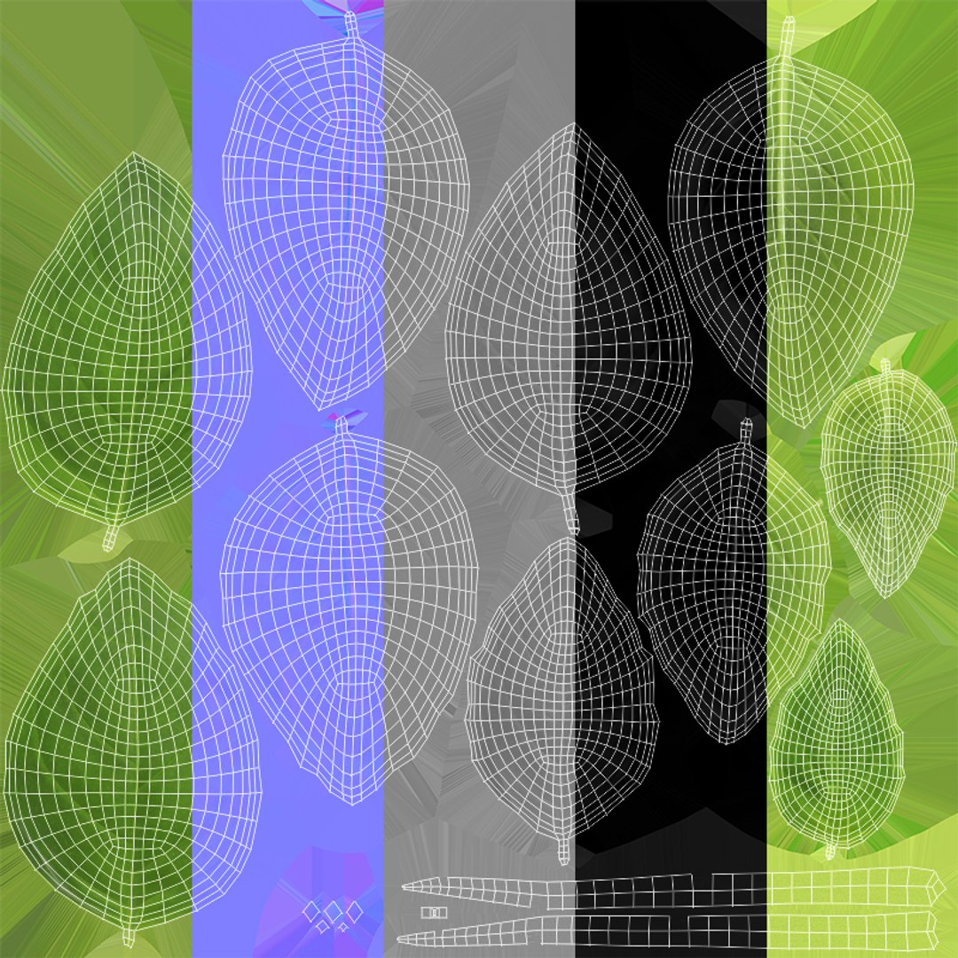 Basil model - TurboSquid 1959432