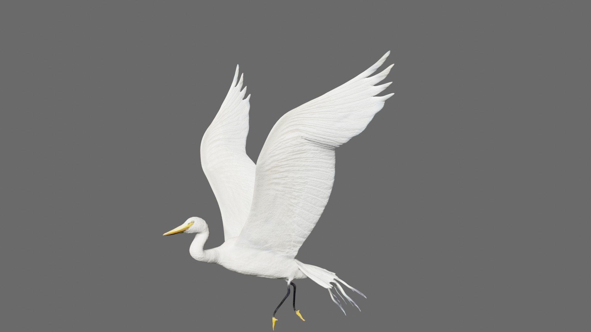 Fully Rigged Low Poly Egret Model - TurboSquid 1750858
