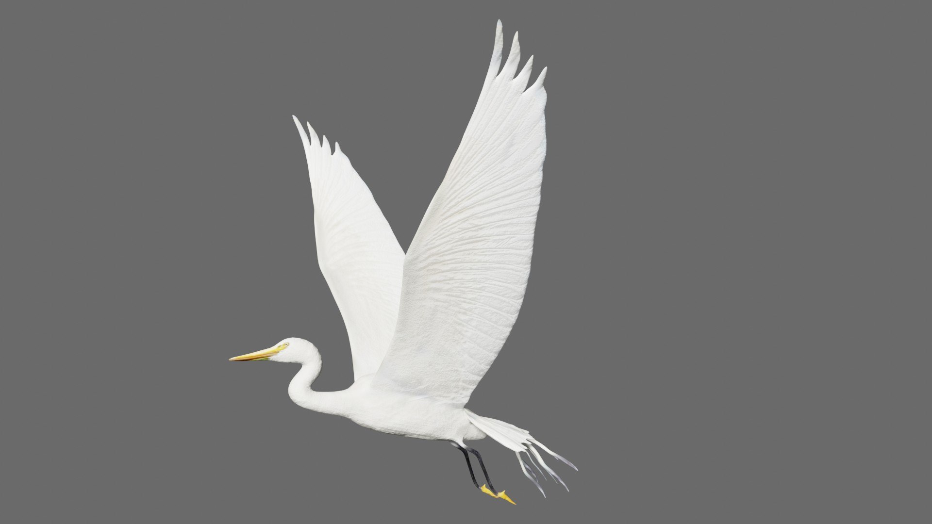 Fully Rigged Low Poly Egret Model - TurboSquid 1750858