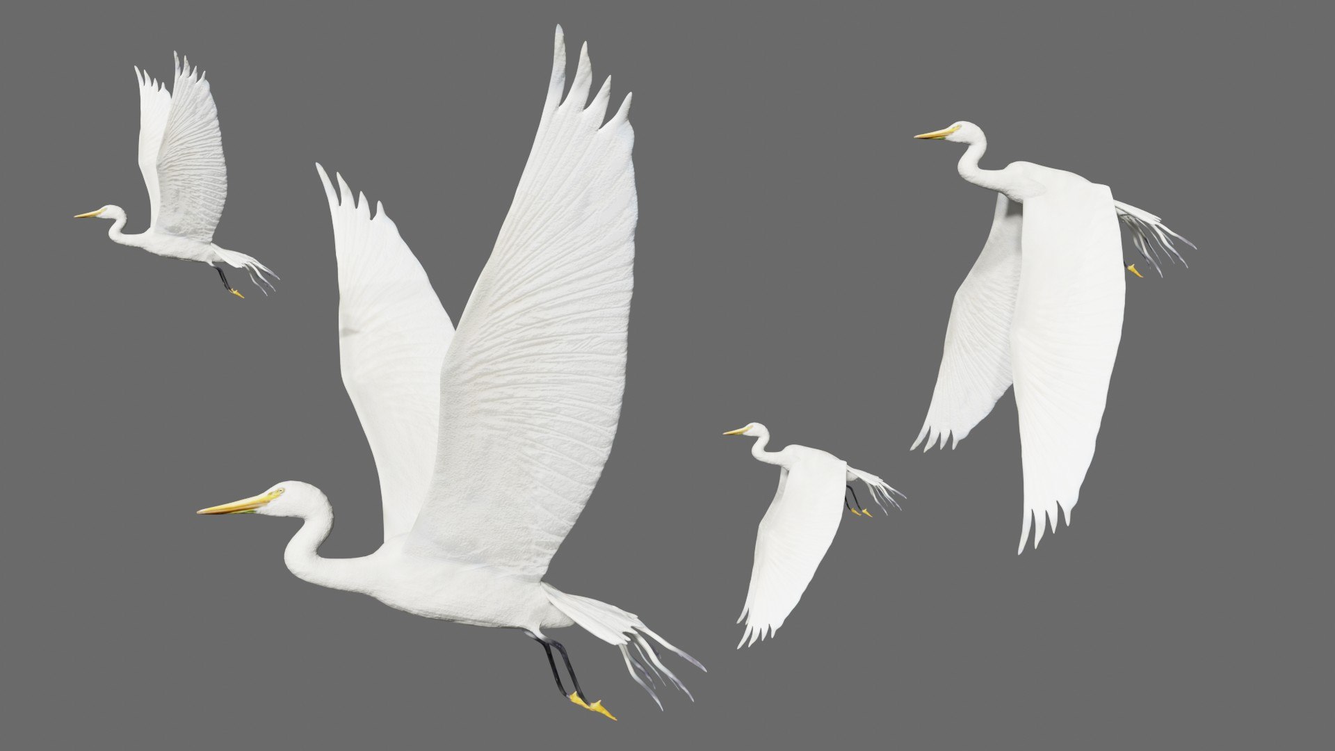 Fully Rigged Low Poly Egret Model - TurboSquid 1750858