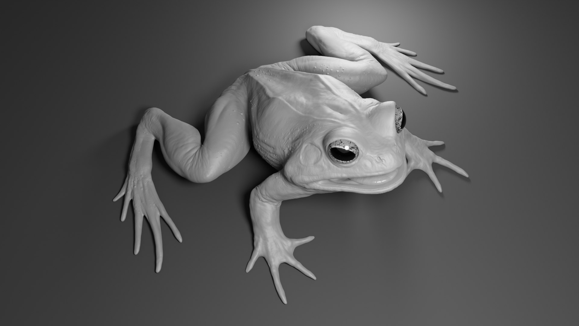 Frog Basemesh 3D Model - TurboSquid 1752191