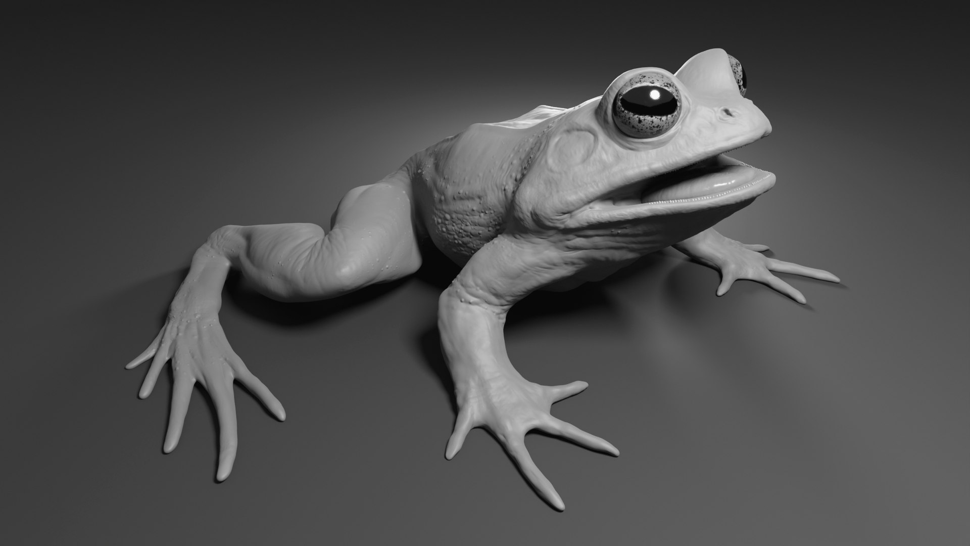 Frog Basemesh 3D Model - TurboSquid 1752191