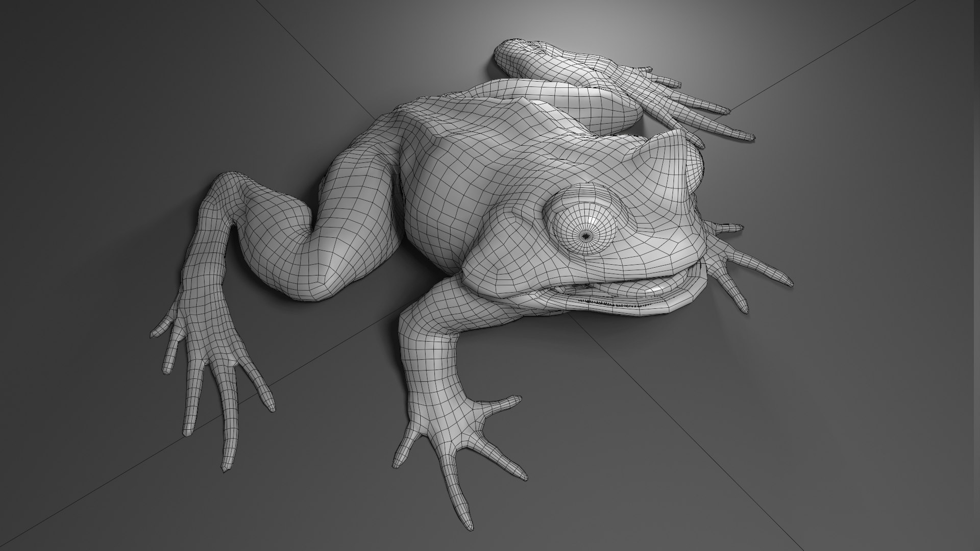 Frog Basemesh 3D Model - TurboSquid 1752191