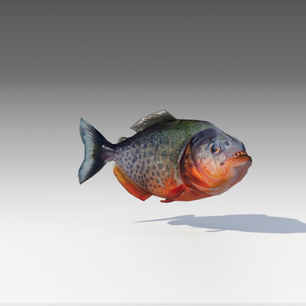 Piranha 3D Models for Download | TurboSquid