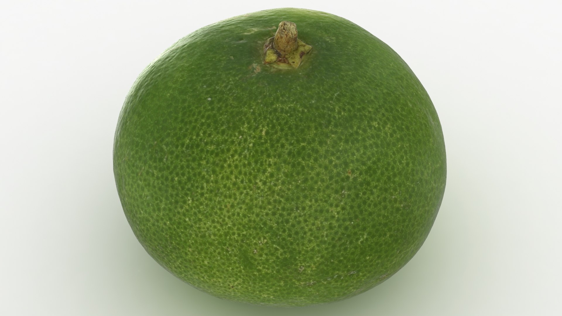 Lime Small 3D - TurboSquid 1691438