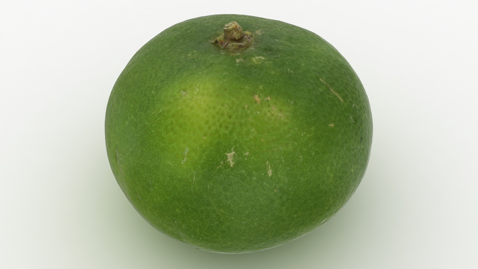 Lime Small 3D - TurboSquid 1691438