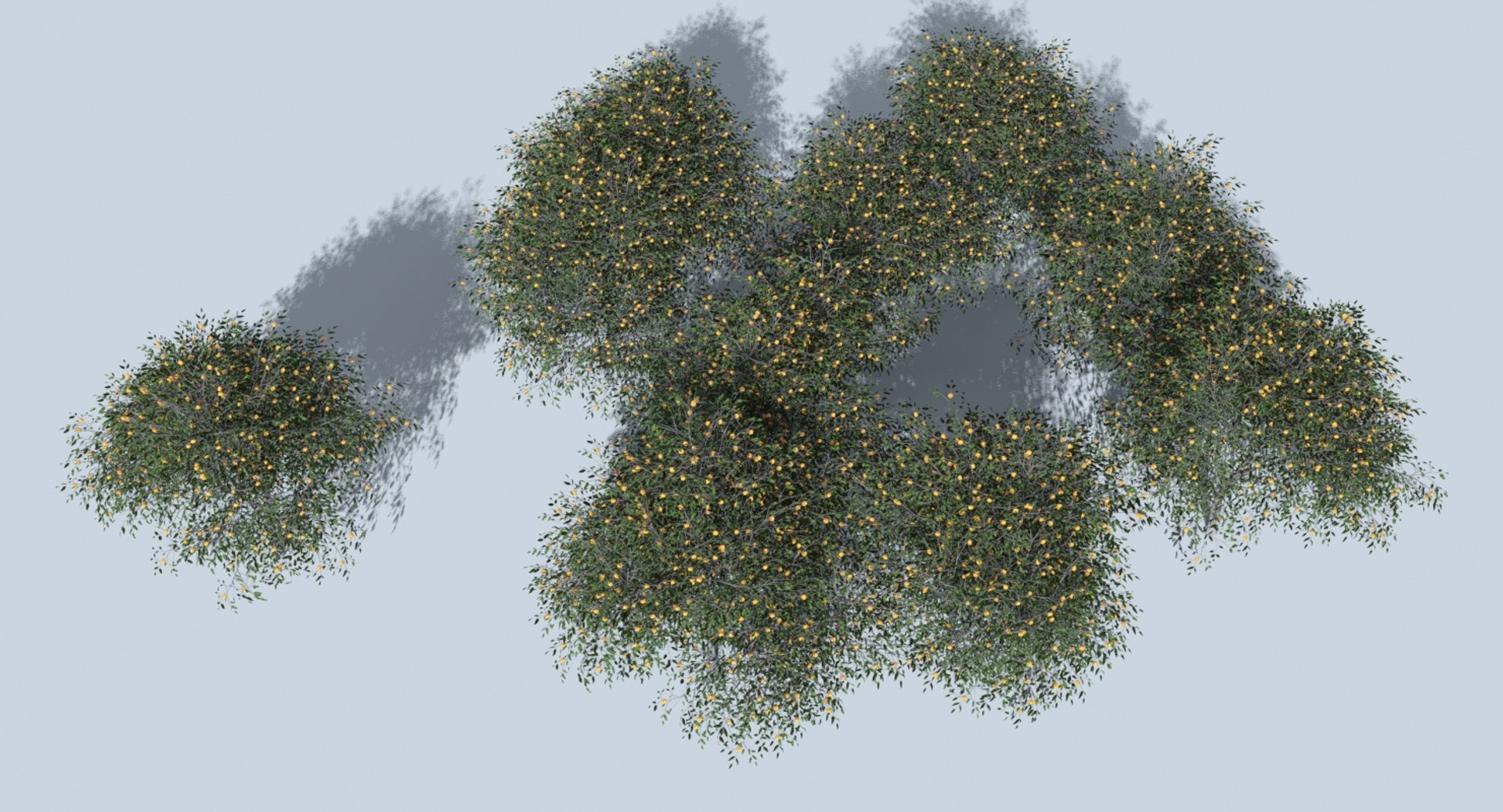 Realistic Fruit Tree Woods Model - TurboSquid 1363371