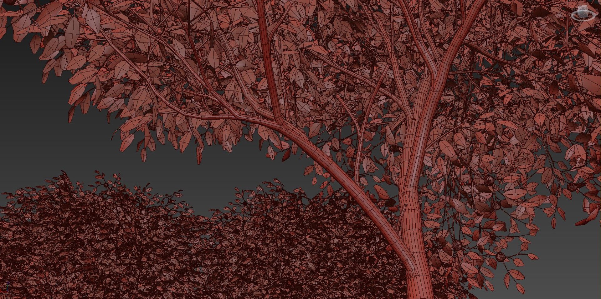 Realistic Fruit Tree Woods Model - TurboSquid 1363371