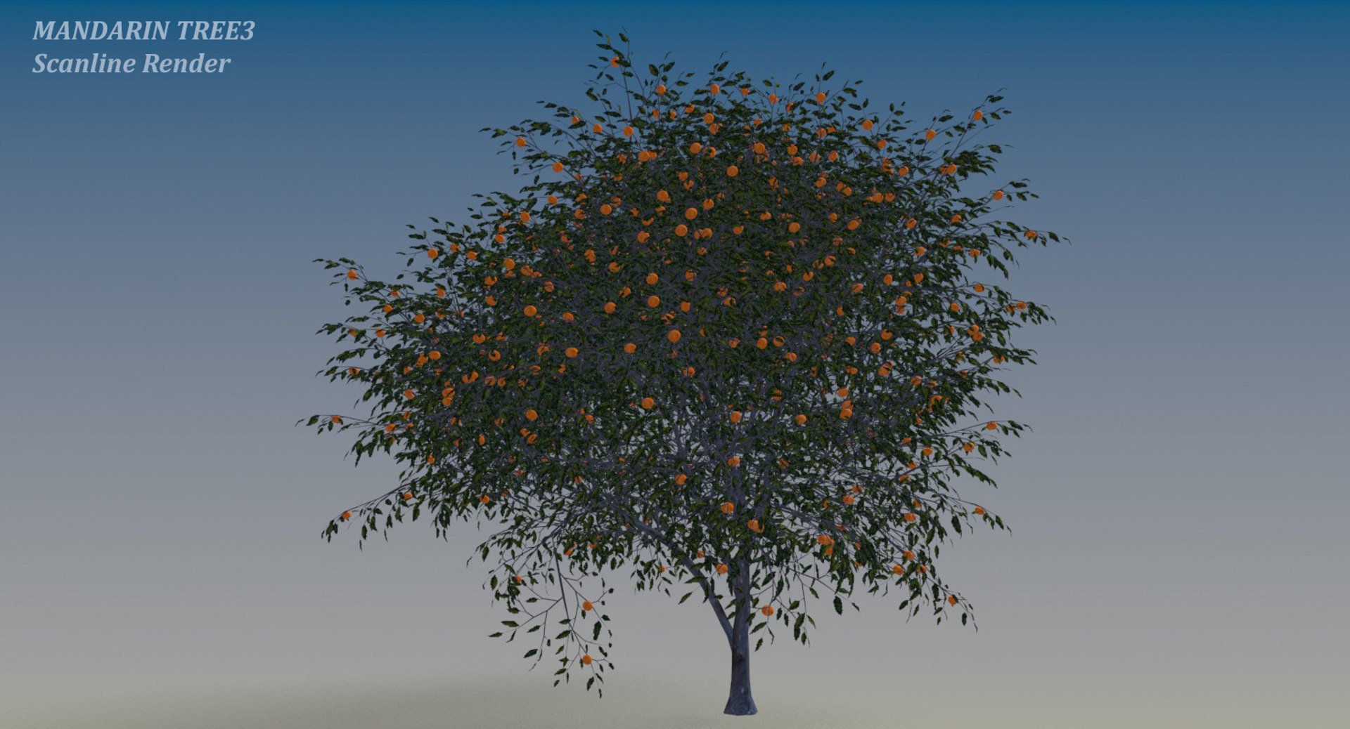 Realistic fruit tree woods model - TurboSquid 1363371