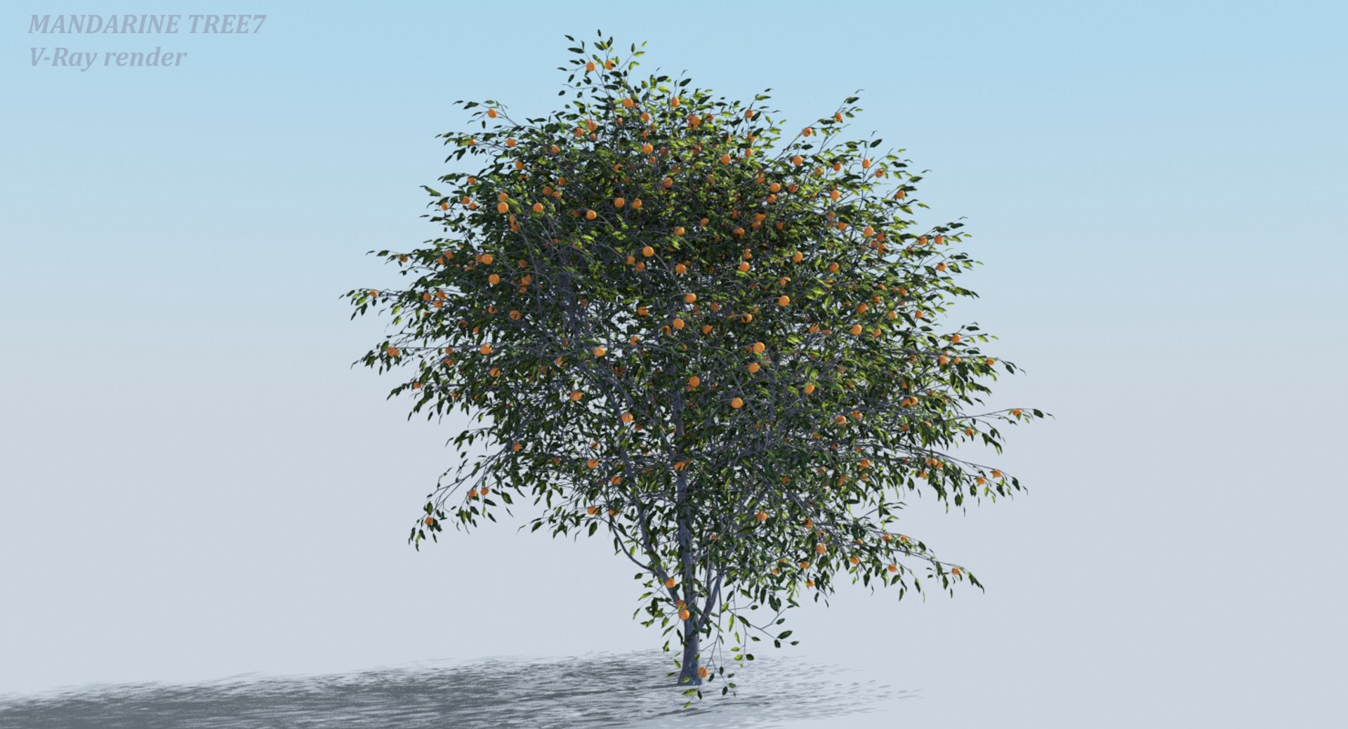 Realistic Fruit Tree Woods Model - TurboSquid 1363371