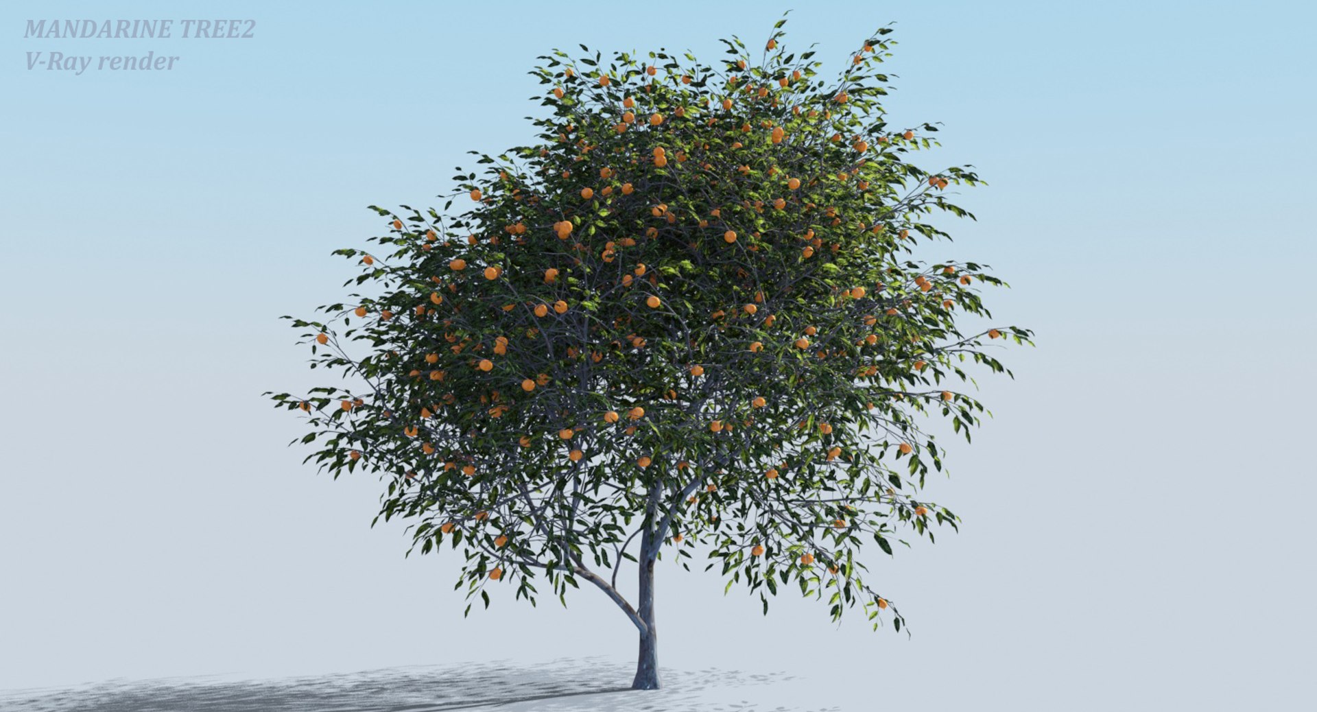 Realistic Fruit Tree Woods Model - TurboSquid 1363371