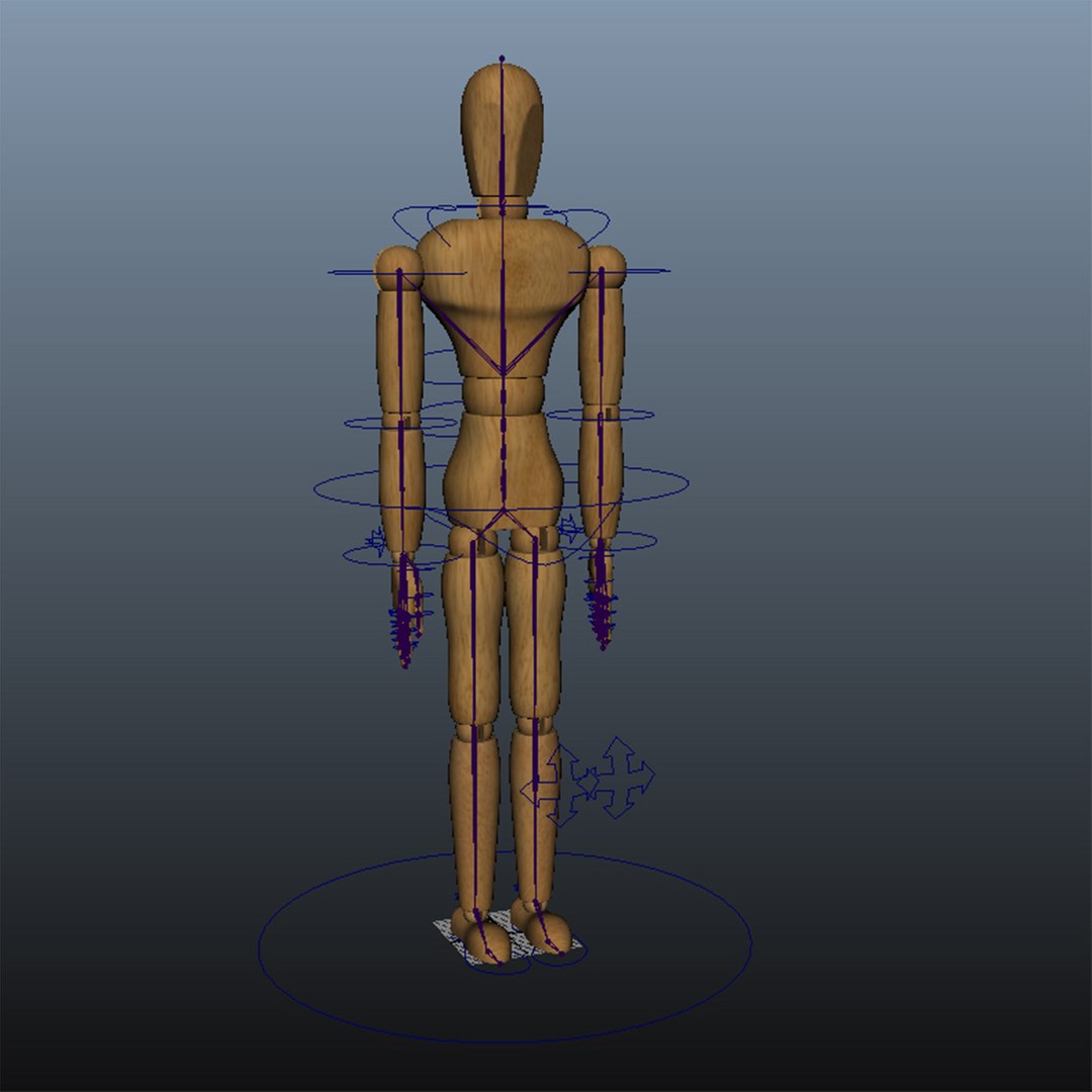 Artist Mannequin Human Rigged 3d Model