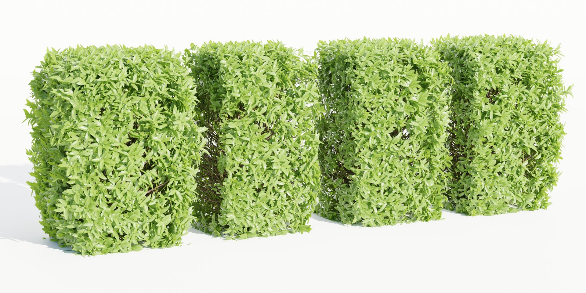 3D Laurel Hedging Bushes Vol 111-Blender Model - TurboSquid 2138685