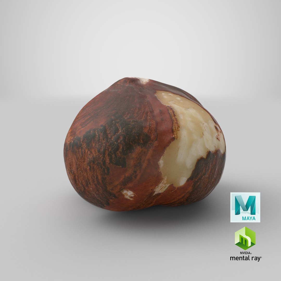 3D Hazelnut 06 - TurboSquid 1948259
