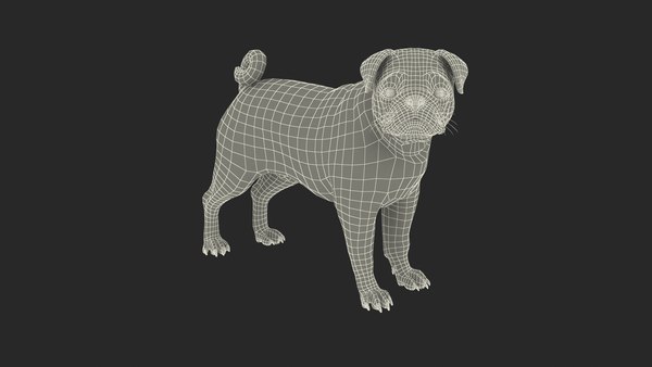 modelo 3d Perro pug - TurboSquid 1684019
