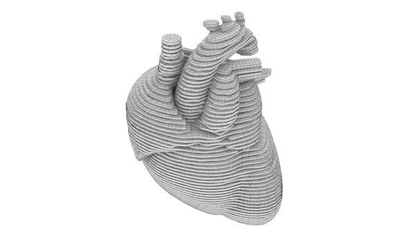 modelo 3d Parametric Human Heart Models - TurboSquid 2086807
