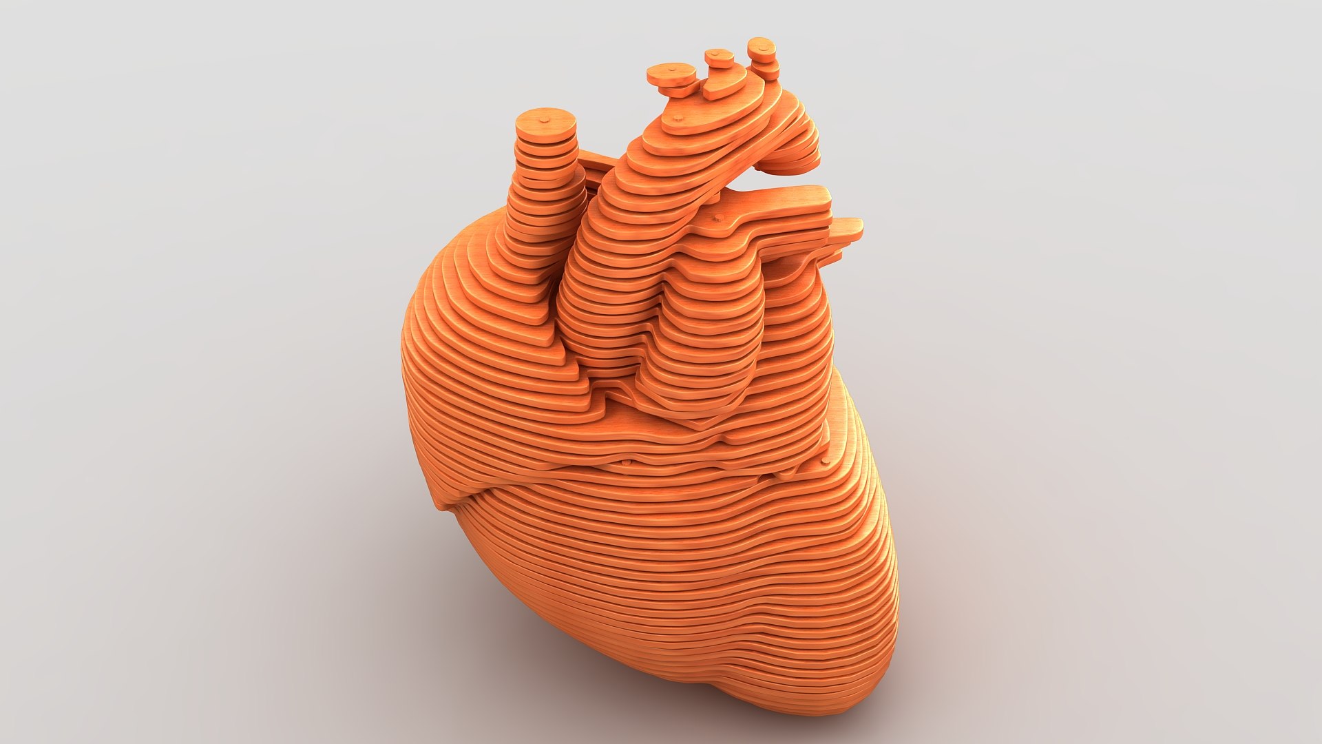 3D Parametric Human Heart Models - TurboSquid 2086807