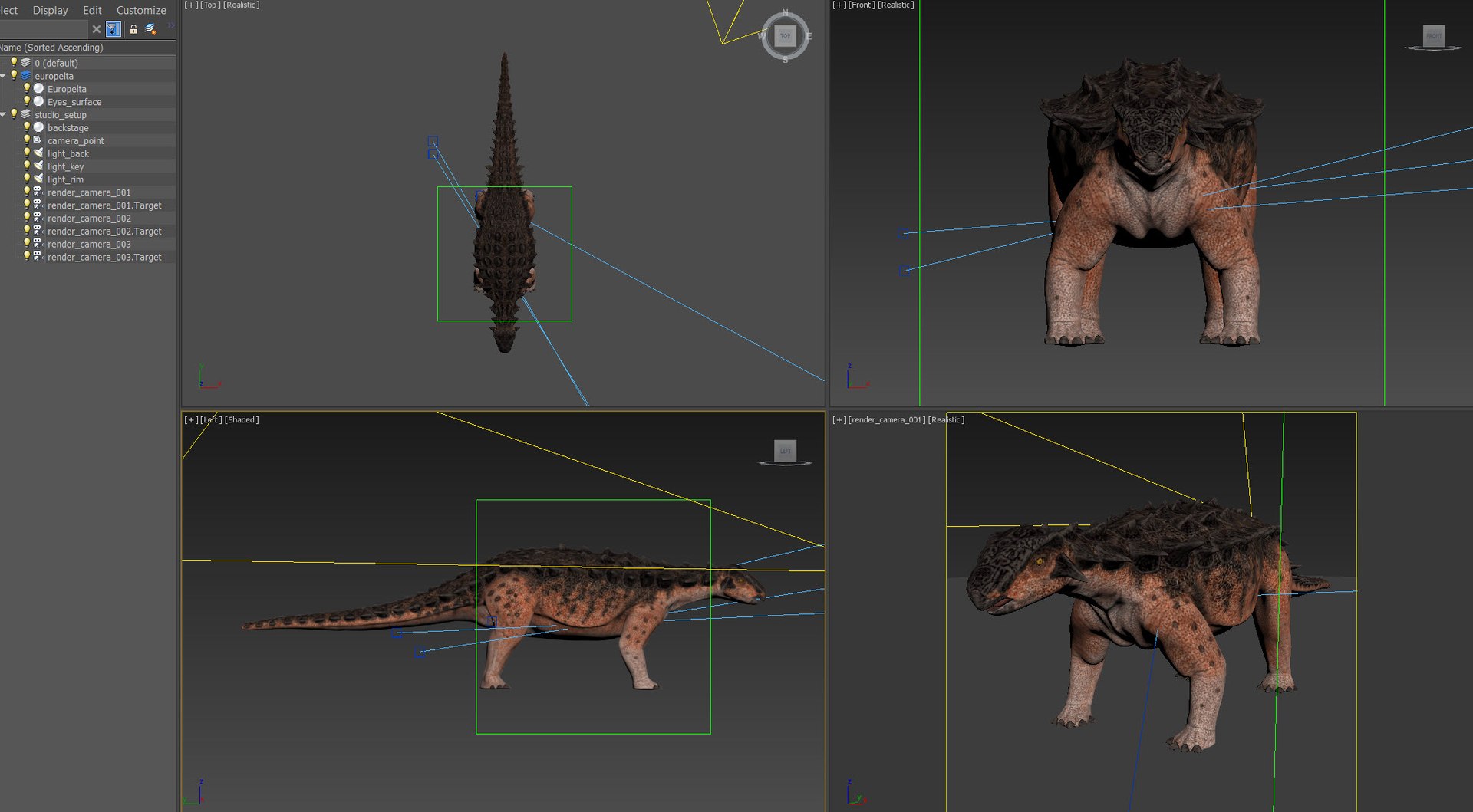 Europelta model - TurboSquid 1655071