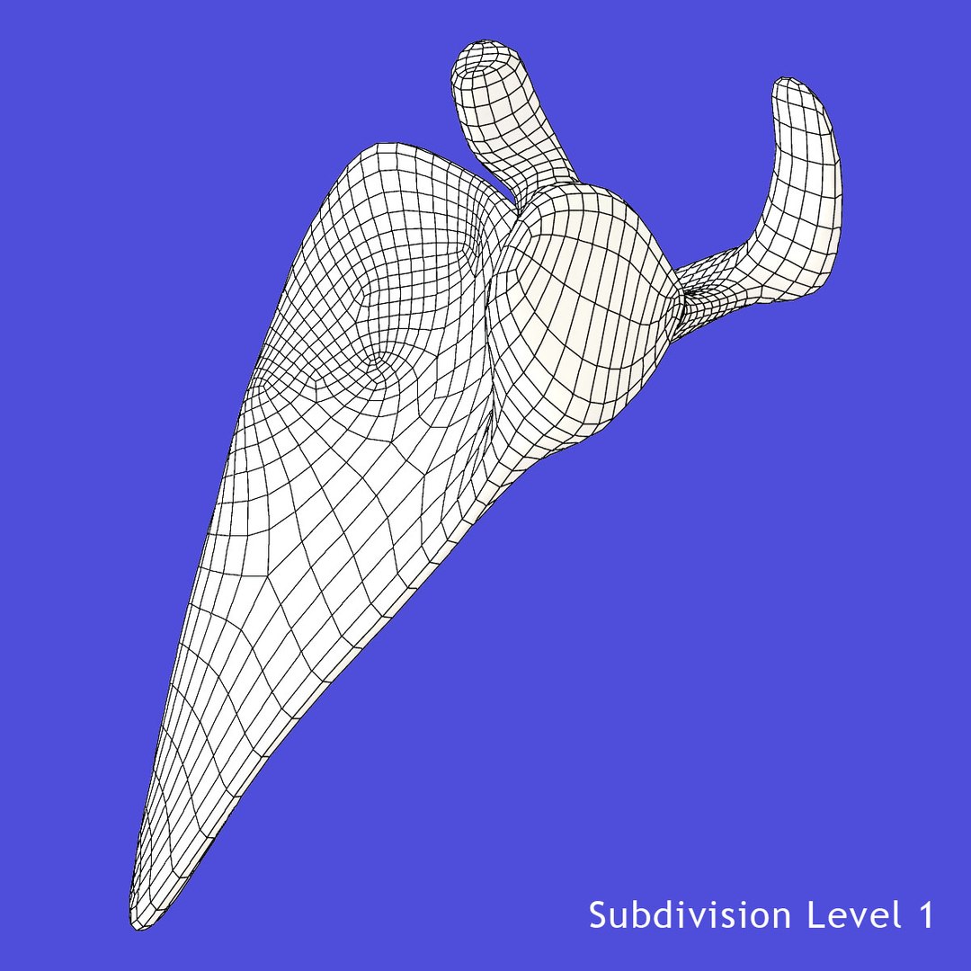 3d Skeleton Scapula Model