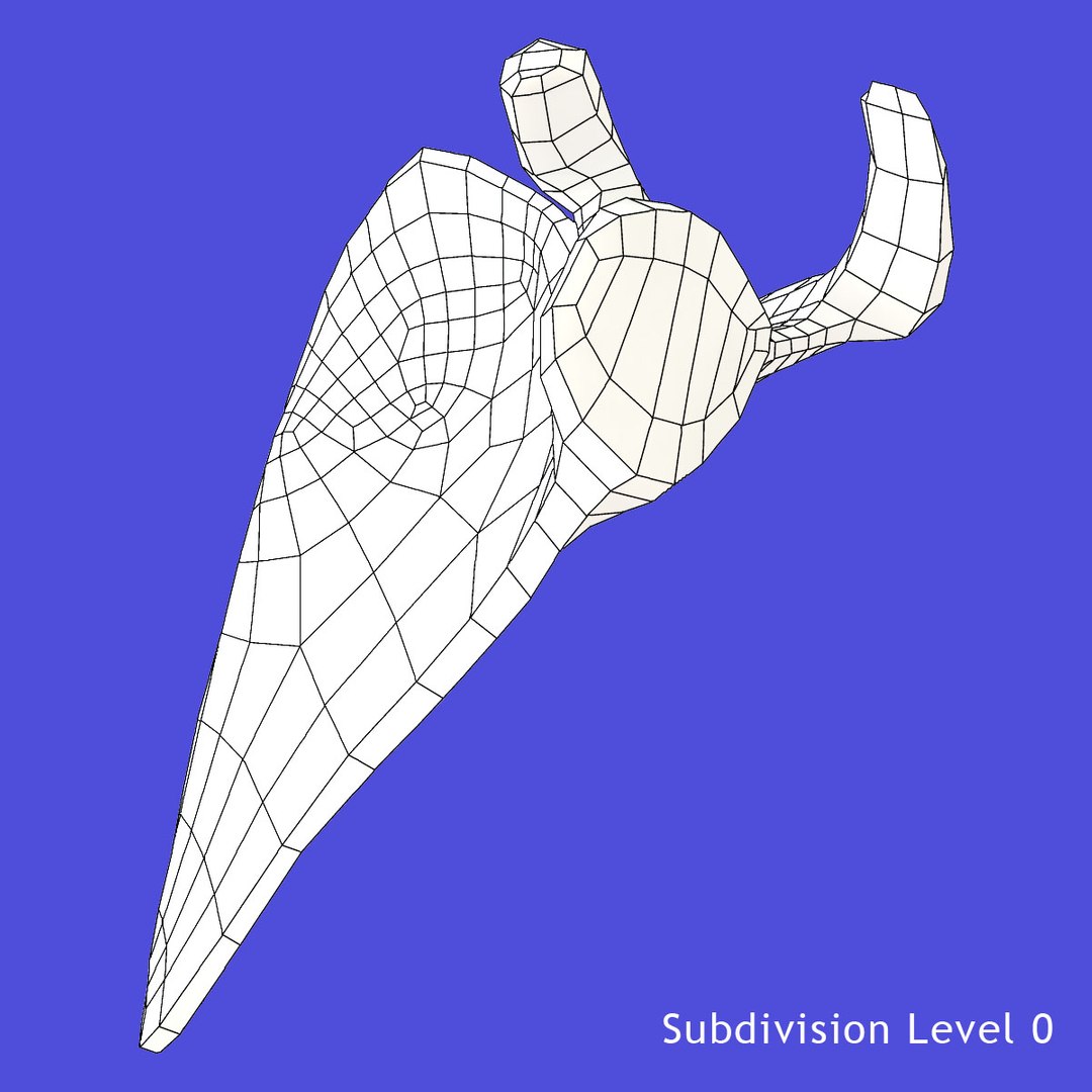 3d Skeleton Scapula Model