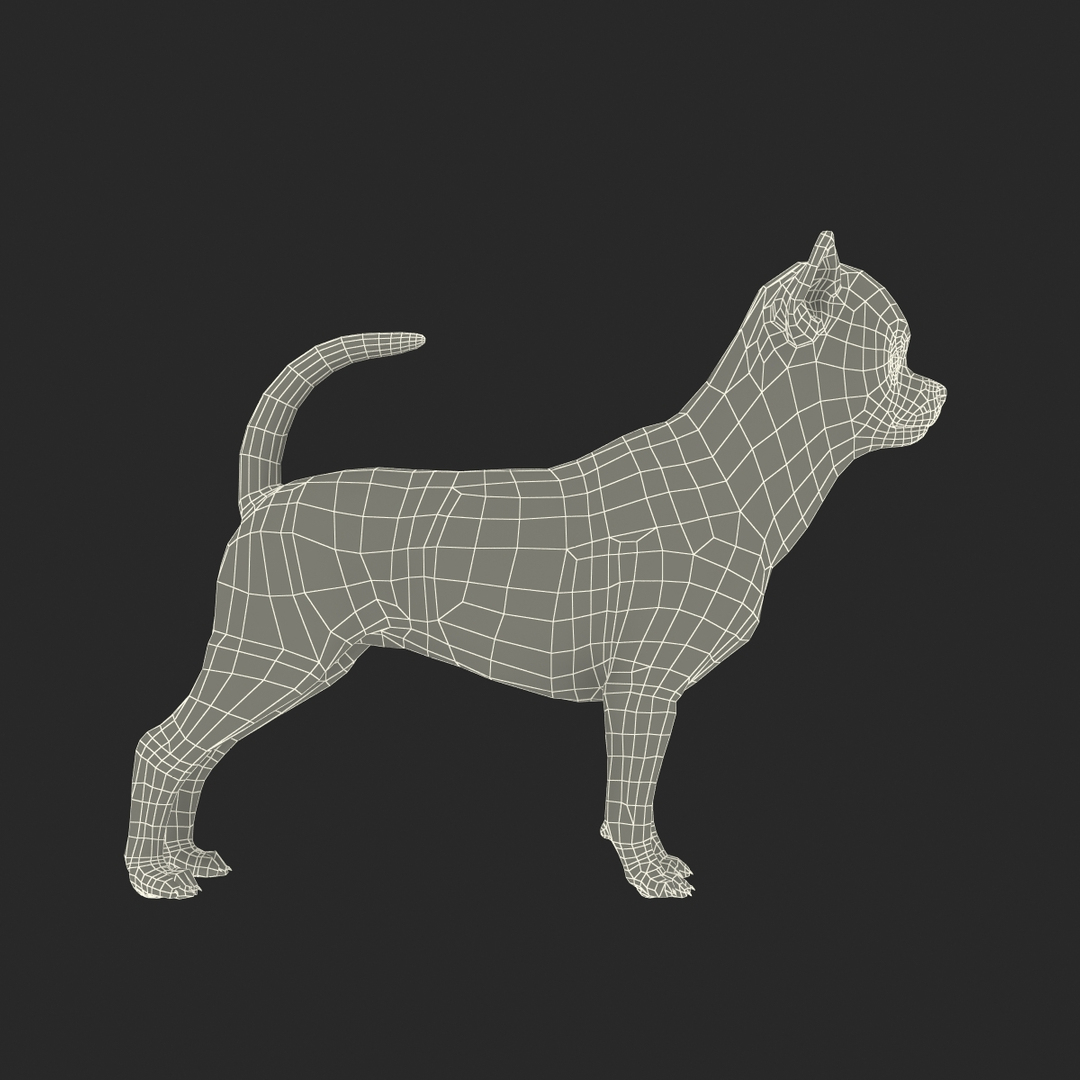 modelo 3d Dogs Rigged Colección 4 para Maya - TurboSquid 1899857