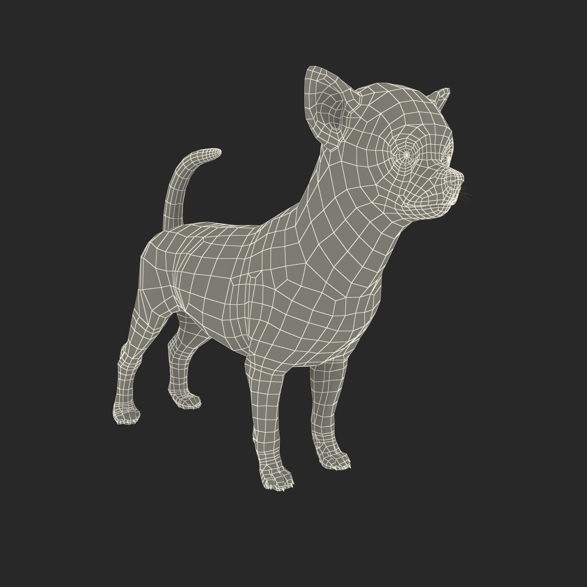 modelo 3d Dogs Rigged Colección 4 para Maya - TurboSquid 1899857