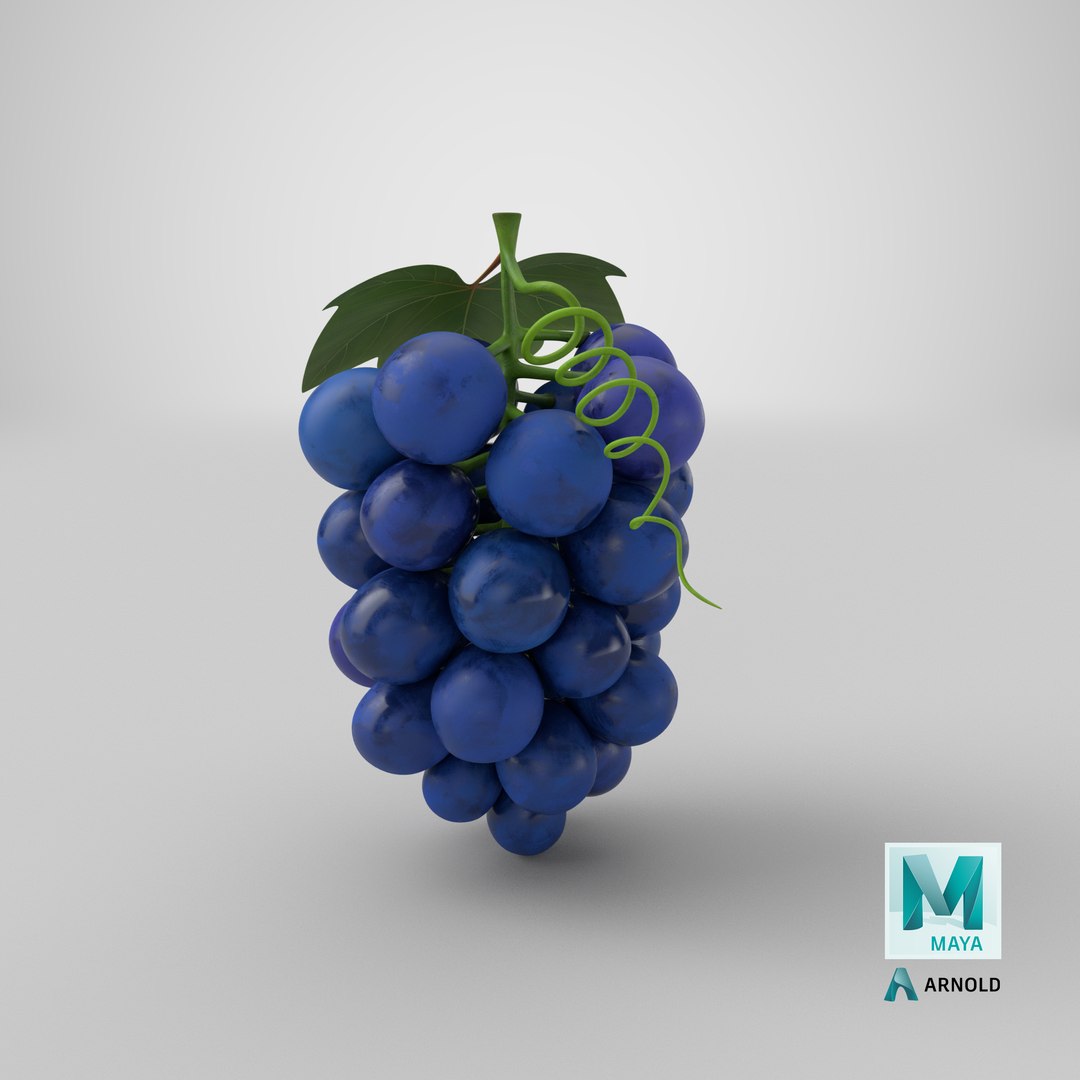 Cartoon Grapes Blue 3D model - TurboSquid 2088483