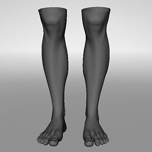 Legs 3D Models for Download | TurboSquid