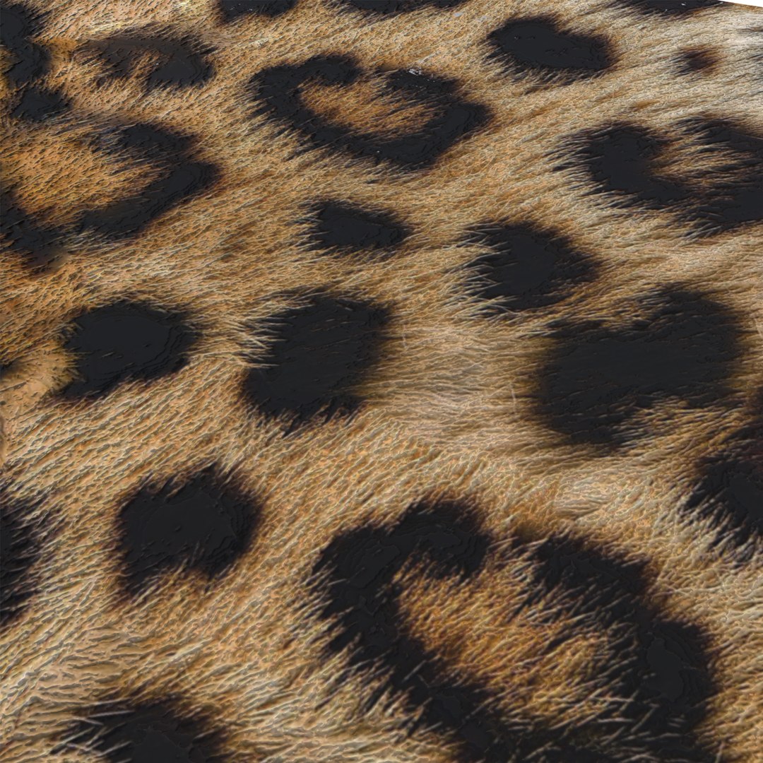 3D model Rug Leopard Print - TurboSquid 2088444