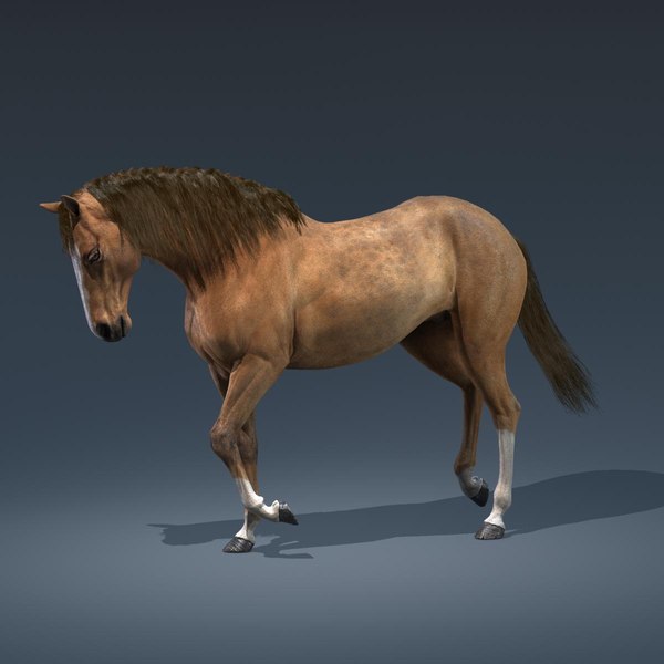 3D realistic horse animation model - TurboSquid 1269060