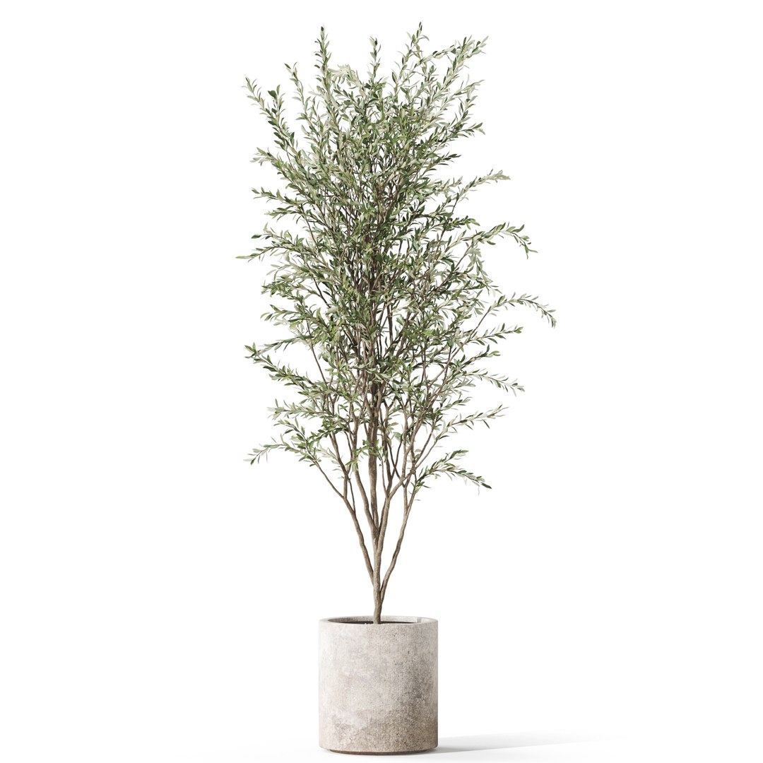 3D Plants Collection 1058 Model - TurboSquid 2200897