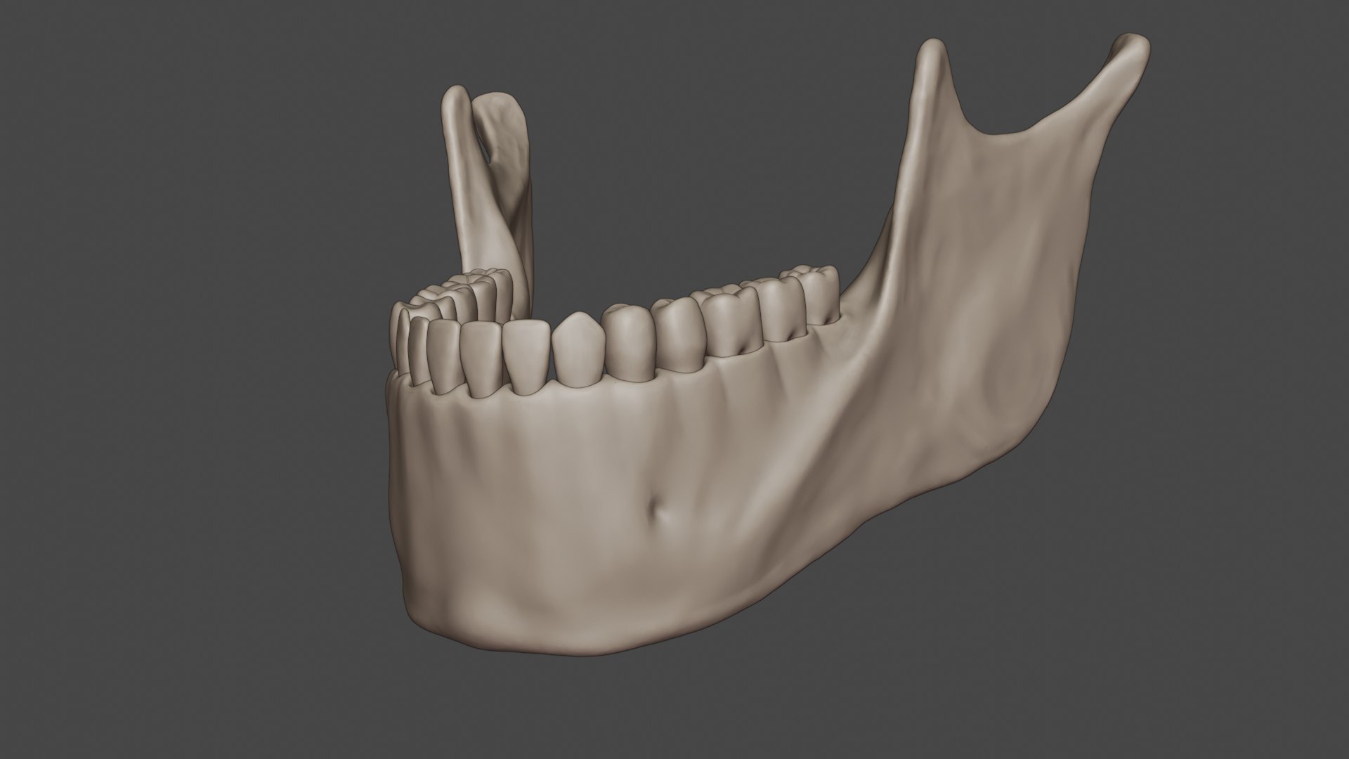 3D Model Human Skull - TurboSquid 1445847