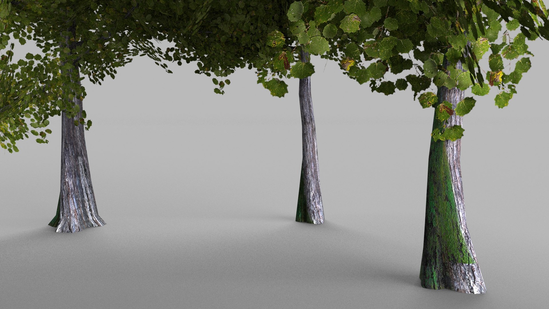 Oak trees 3D model - TurboSquid 1782193