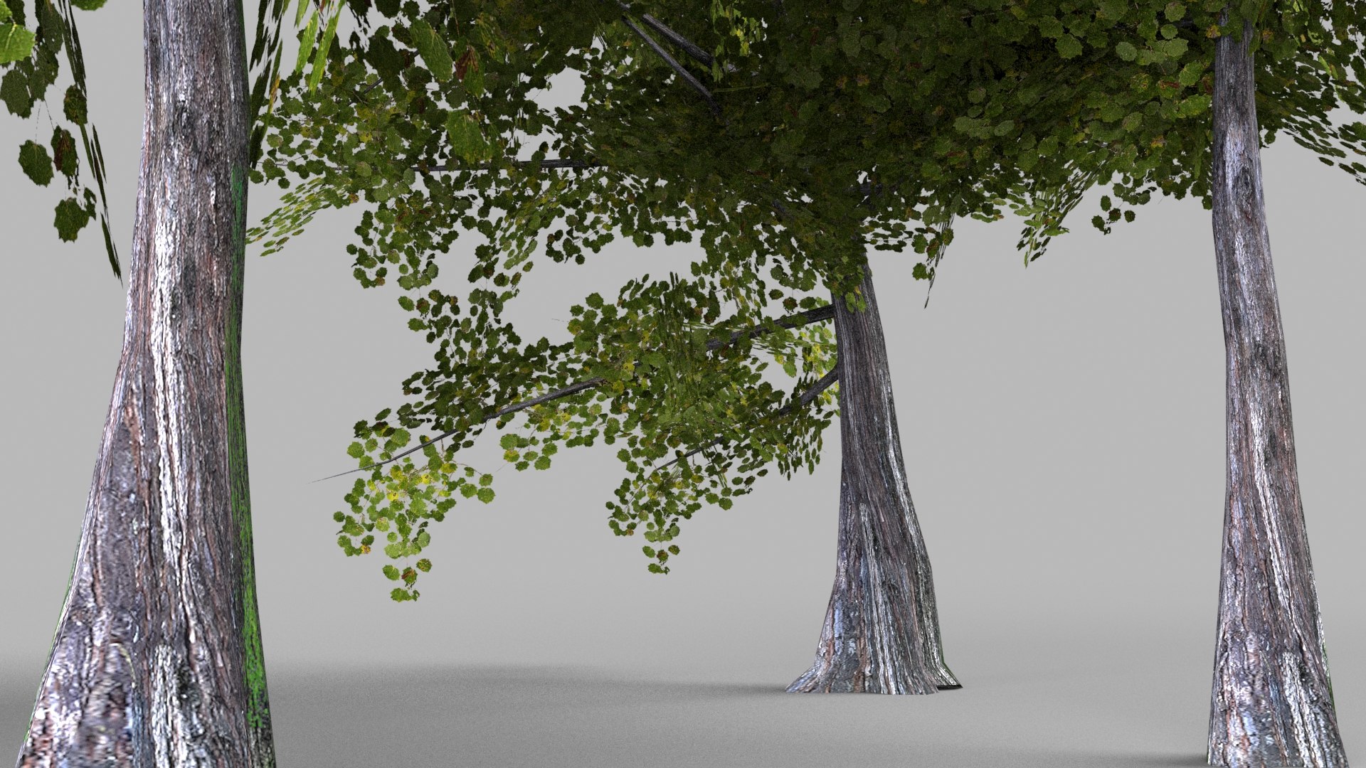 Oak trees 3D model - TurboSquid 1782193