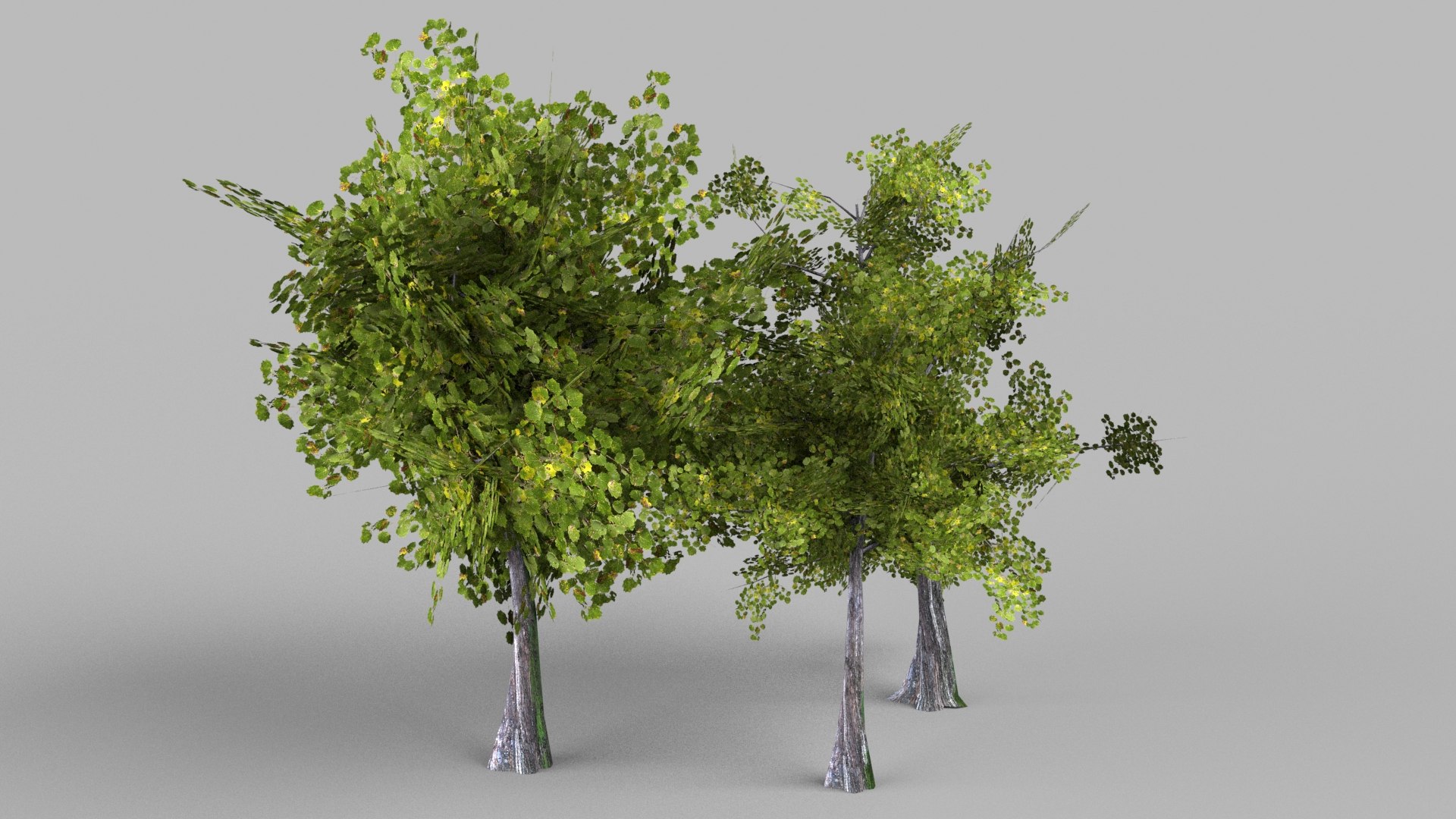 Oak trees 3D model - TurboSquid 1782193