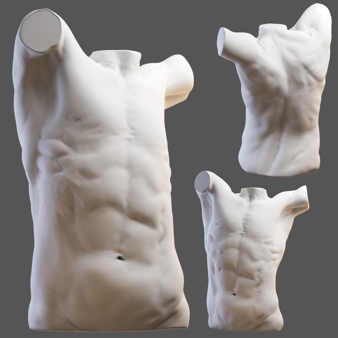 3D Torso - TurboSquid 1779316