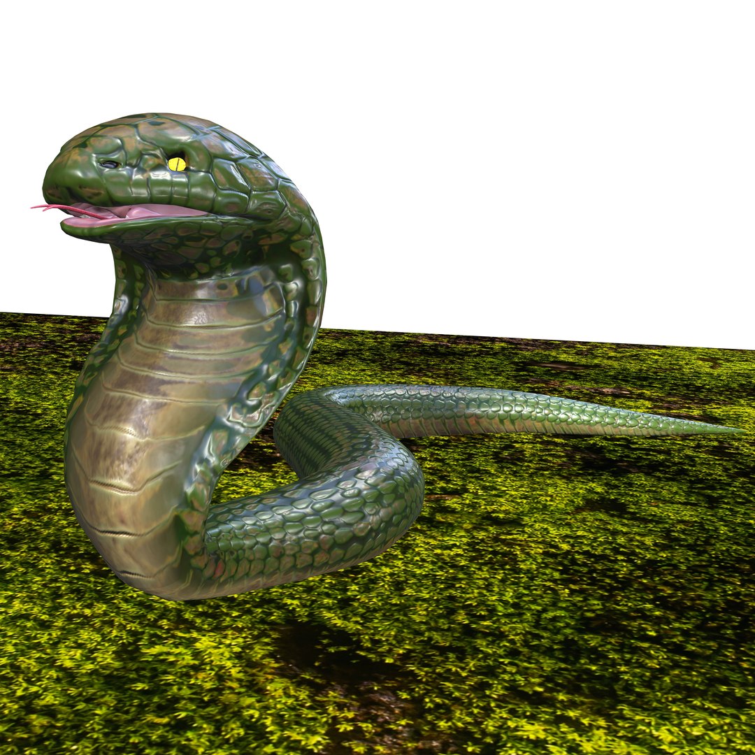3D model MEGA GREEN Snake - TurboSquid 2086813