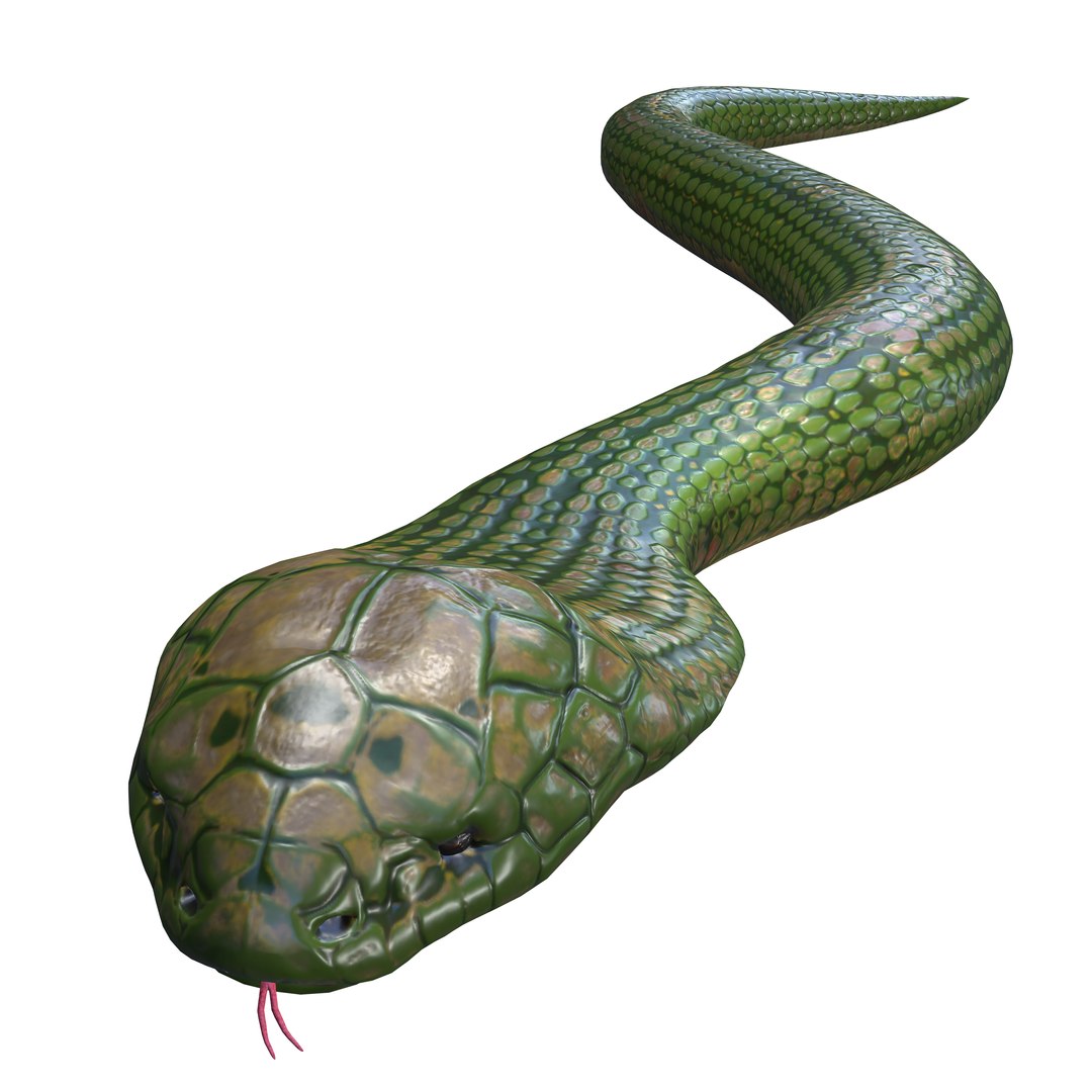 3D model MEGA GREEN Snake - TurboSquid 2086813