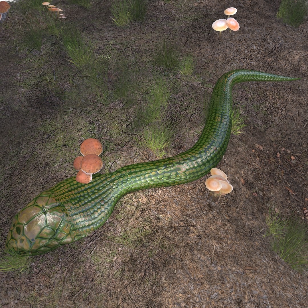 3D model MEGA GREEN Snake - TurboSquid 2086813