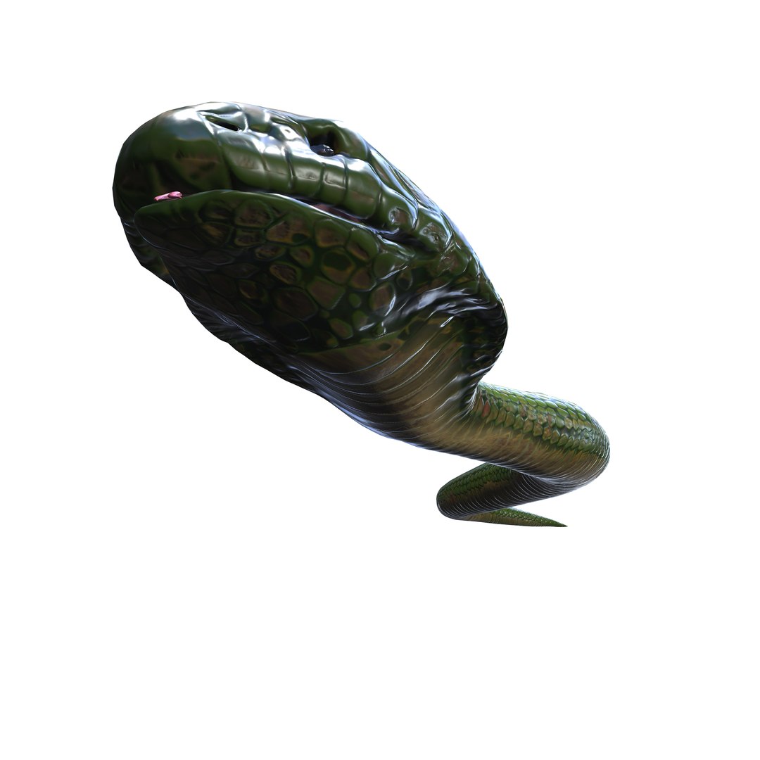 3D model MEGA GREEN Snake - TurboSquid 2086813
