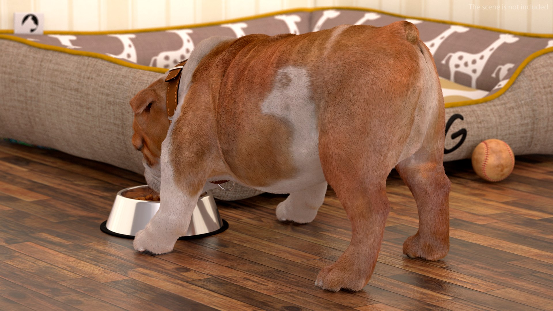 Bulldog Eats Out Of The Bowl Fur 3D Model - TurboSquid 2179925