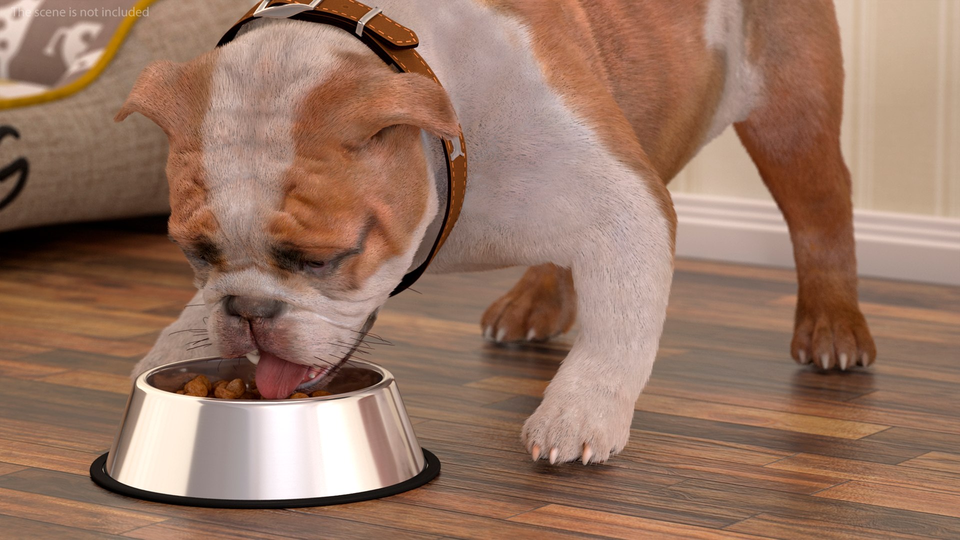 Bulldog Eats Out Of The Bowl Fur 3D Model - TurboSquid 2179925