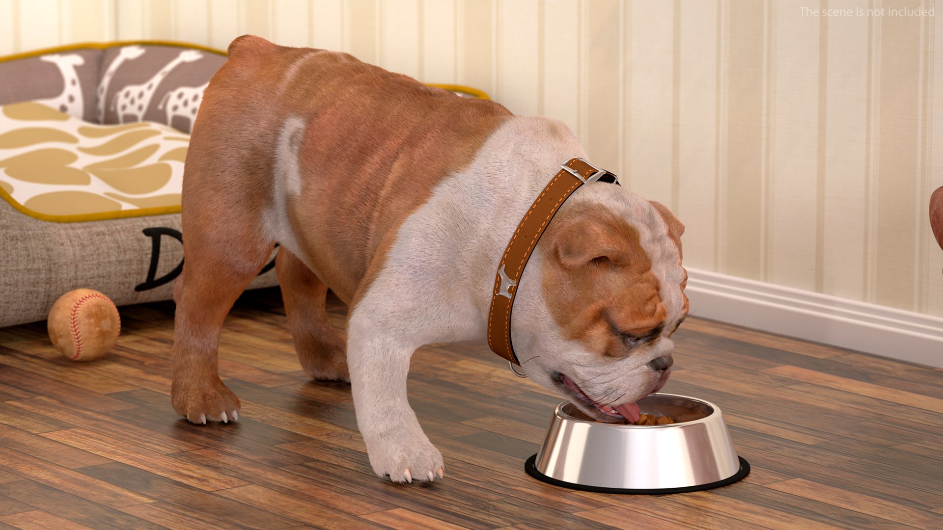 Bulldog Eats Out Of The Bowl Fur 3D Model - TurboSquid 2179925